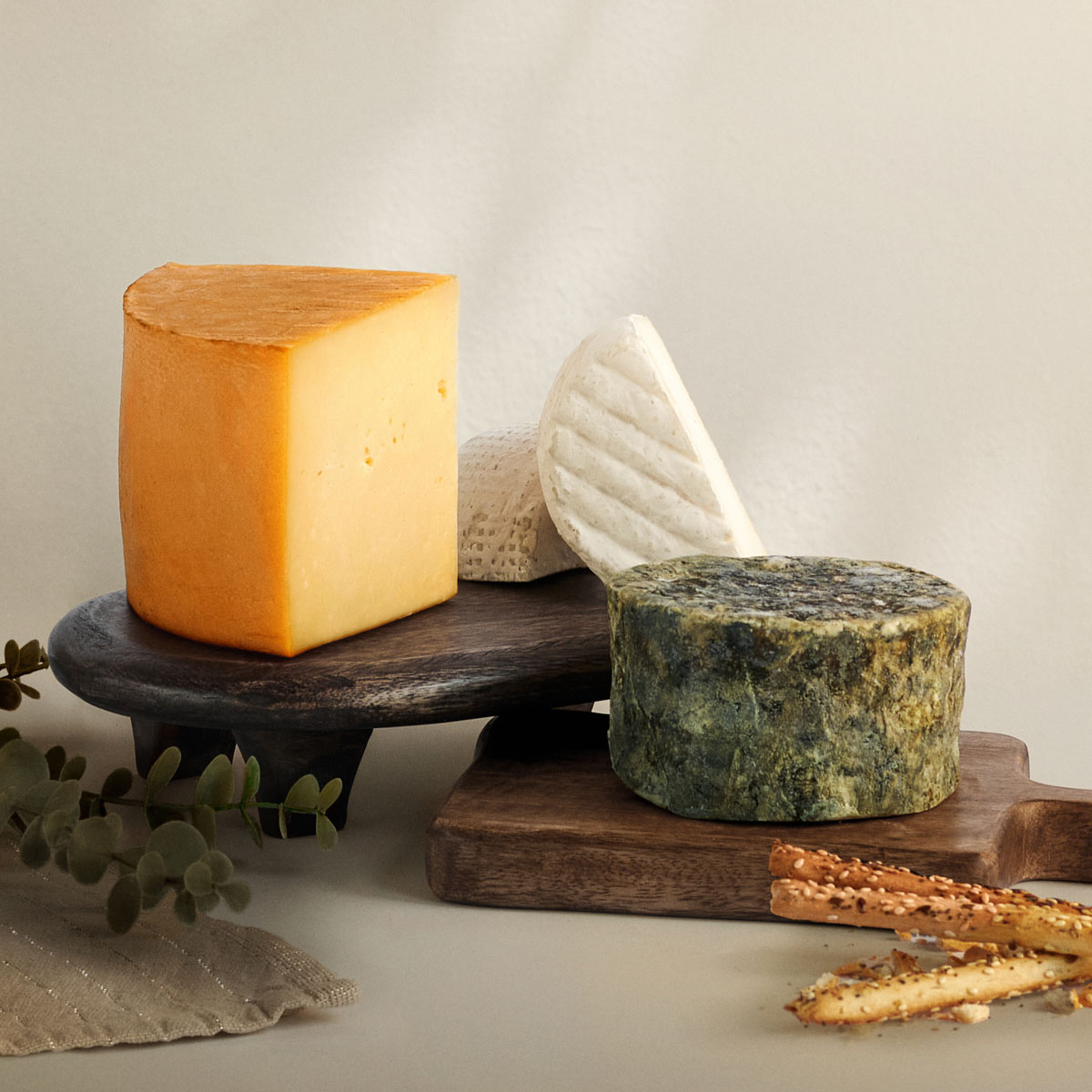 Quesos Gourmet | Comprar Quesos Premium Seleccionados